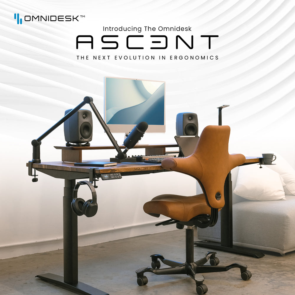 The Best Standing Desk And Ergonomic Workspaces | Omnidesk Malaysia